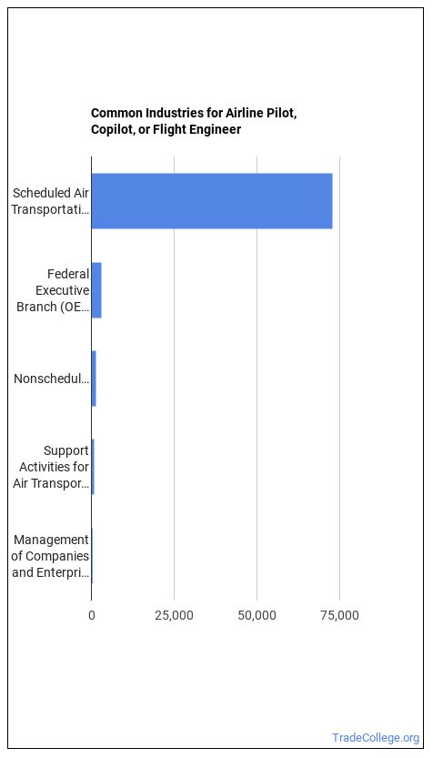 Airline Pilot, Copilot, or Flight Engineer Job Description & Duties ...