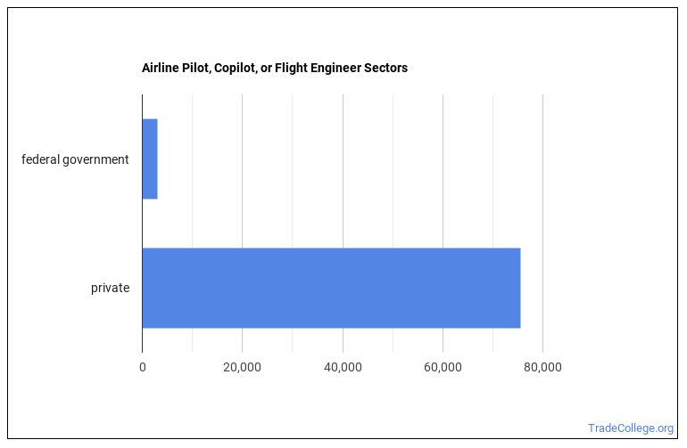 What's It Like Being an Airline Pilot, Copilot, or Flight Engineer ...