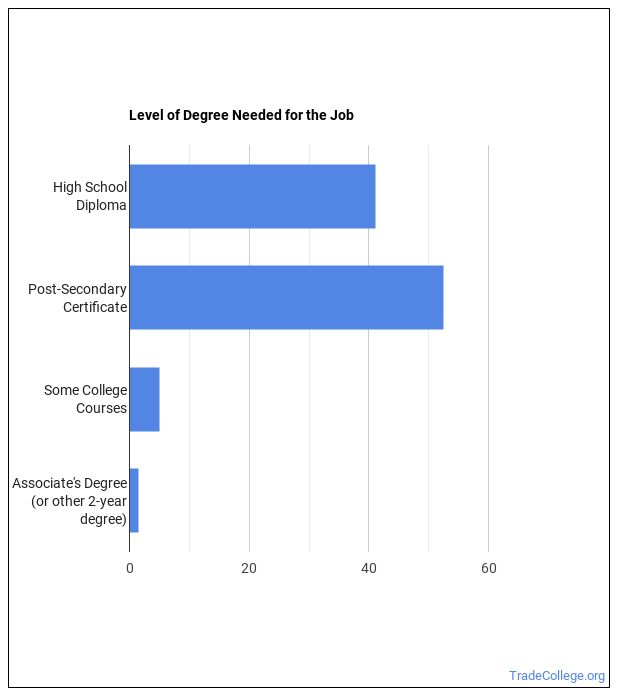 Should You Become an Automotive Master Mechanic? - Trade College