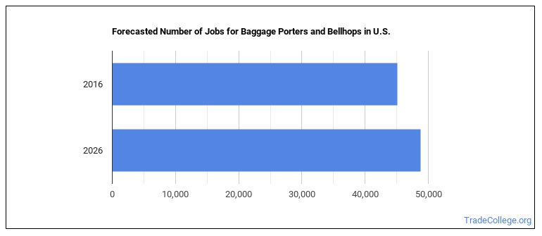 What's It Like Being a Baggage Porter or Bellhop? - Trade College