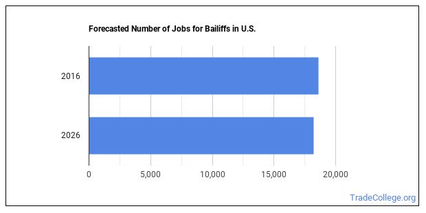 What is a Bailiff & What do They Do? - Trade College