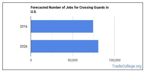 What is a Crossing Guard & What do They Do? - Trade College