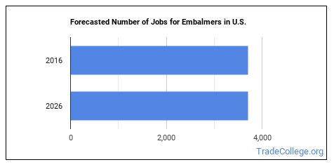 Should You Become an Embalmer? - Trade College