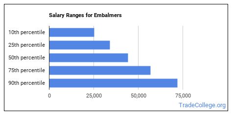 Should You Become an Embalmer? - Trade College