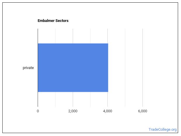 Should You Become an Embalmer? - Trade College