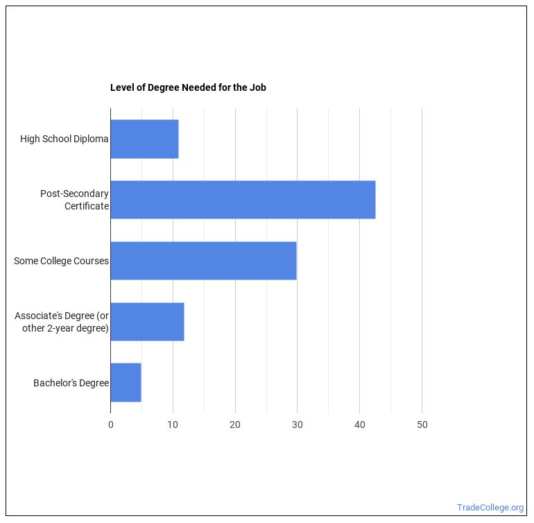 What is an Emergency Medical Technician or Paramedic & What do They Do ...