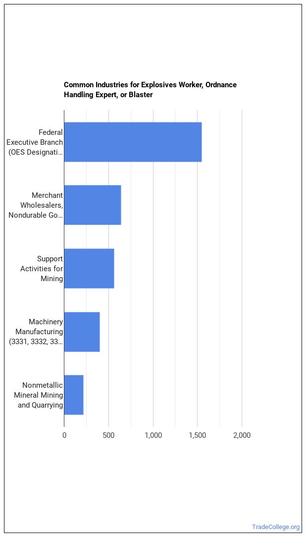 Should You Become an Explosives Worker, Ordnance Handling Expert, or ...