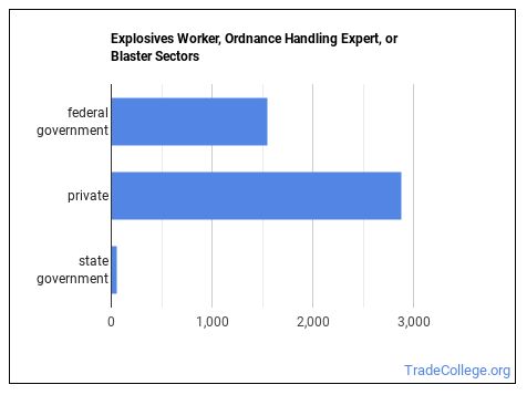 Explosives Worker, Ordnance Handling Expert, or Blaster Job Description ...
