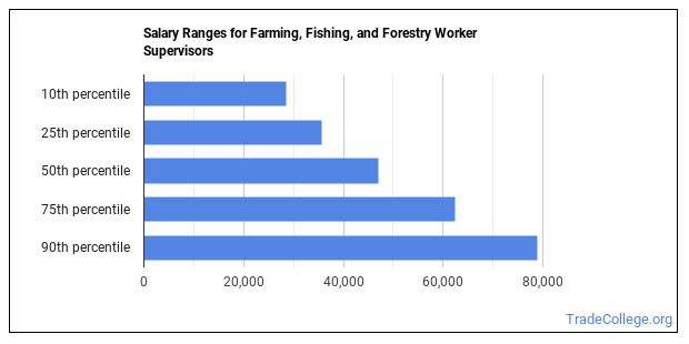 What is a Farming, Fishing, and Forestry Worker Supervisor & What do ...
