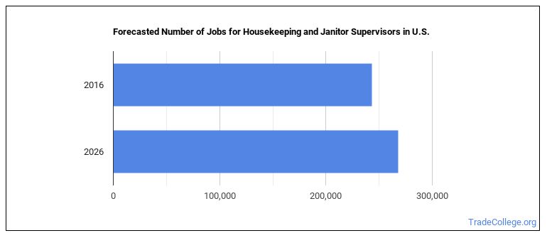 What's It Like Being a Housekeeping and Janitor Supervisor? - Trade College