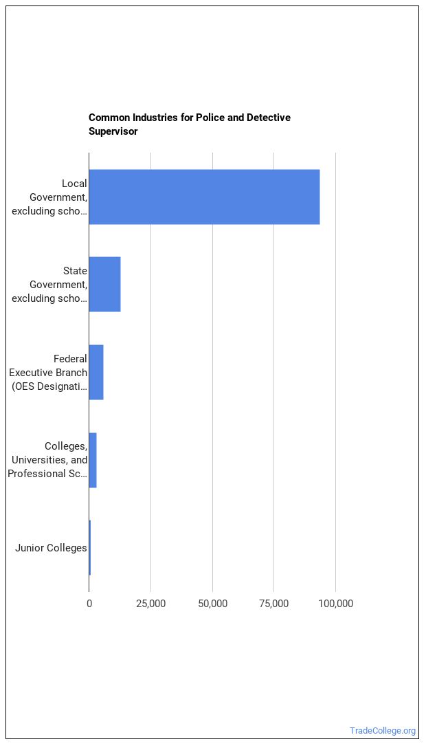 What is a Police and Detective Supervisor & What do They Do? - Trade ...
