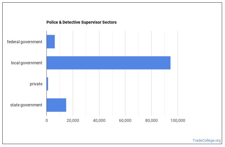 Should You Become a Police and Detective Supervisor? - Trade College