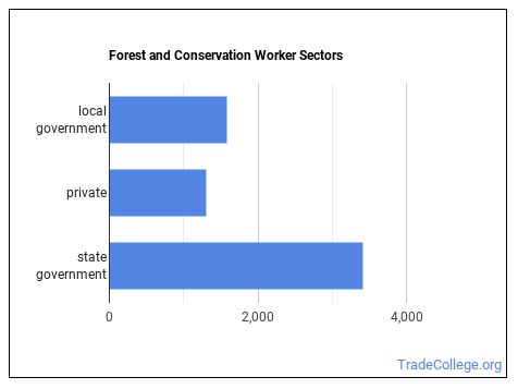 Is Forest and Conservation Worker a Good Job? - Trade College