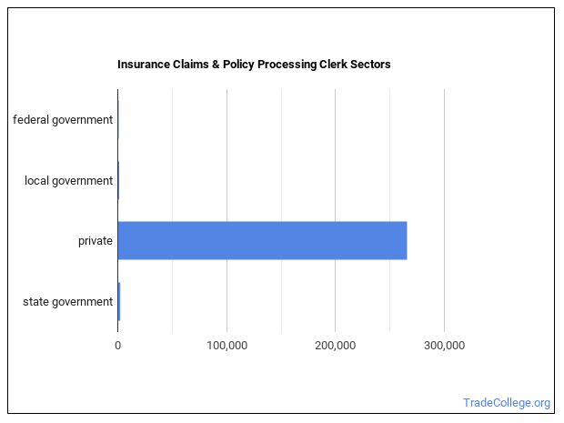 How to Become an Insurance Claims and Policy Processing Clerk & What Do ...