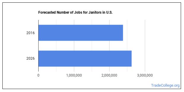 What Does a Janitor do? - Trade College