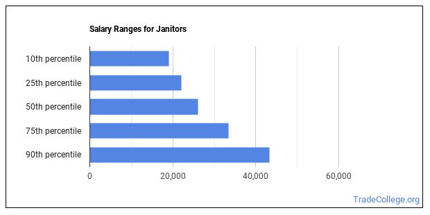 What Does a Janitor do? - Trade College