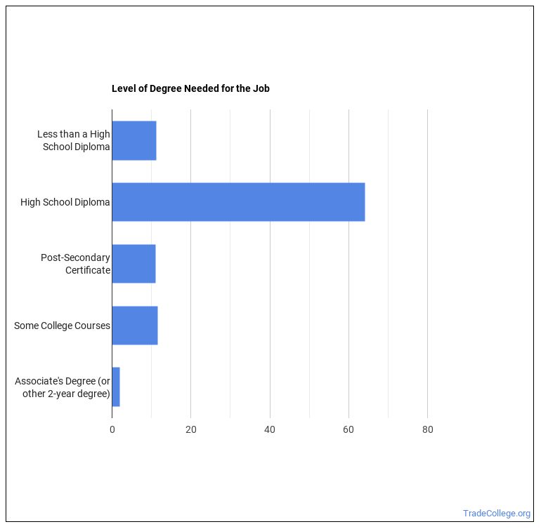 How to Become a Log Grader or Scaler & What Do They Do? - Trade College