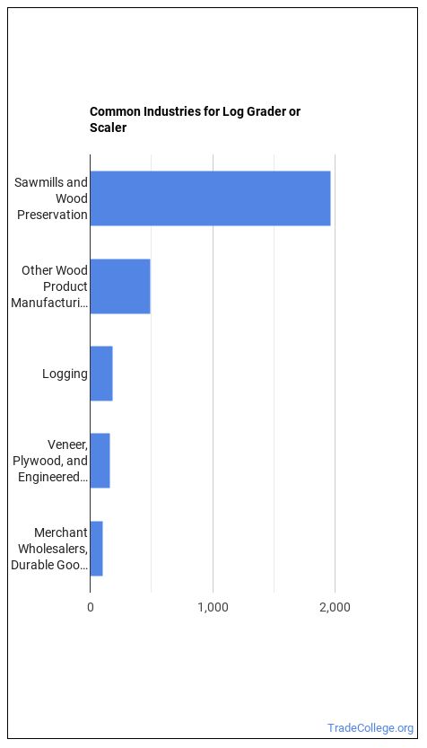 How to Become a Log Grader or Scaler & What Do They Do? - Trade College