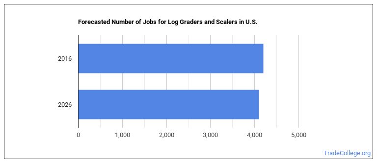 How to Become a Log Grader or Scaler & What Do They Do? - Trade College