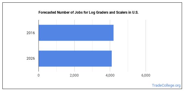 How to Become a Log Grader or Scaler & What Do They Do? - Trade College