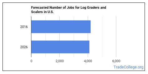 How to Become a Log Grader or Scaler & What Do They Do? - Trade College