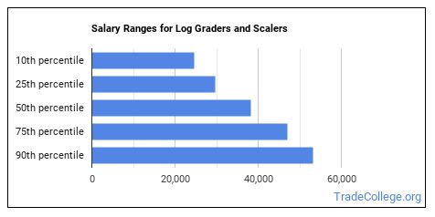 How to Become a Log Grader or Scaler & What Do They Do? - Trade College