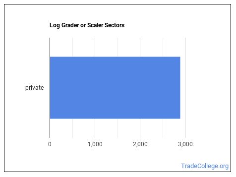 How to Become a Log Grader or Scaler & What Do They Do? - Trade College