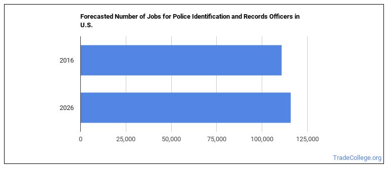 What's It Like Being a Police Identification and Records Officer ...
