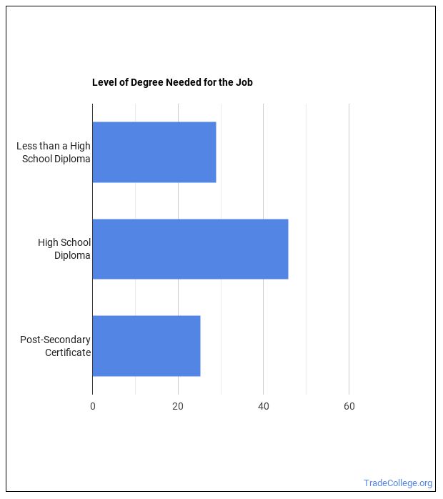 How to Become a Taper & What Do They Do? - Trade College