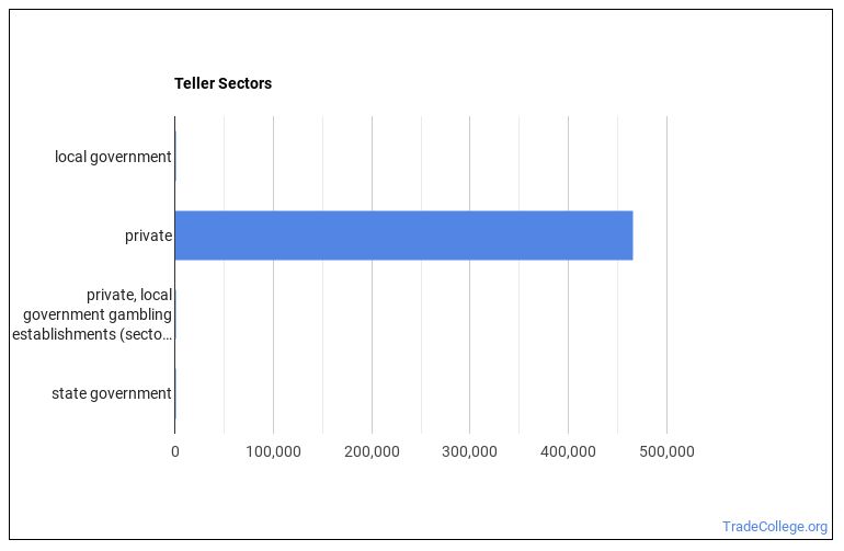 How to Become a Teller & What Do They Do? - Trade College