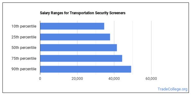 Transportation Security Screener Job Description & Duties - Trade College