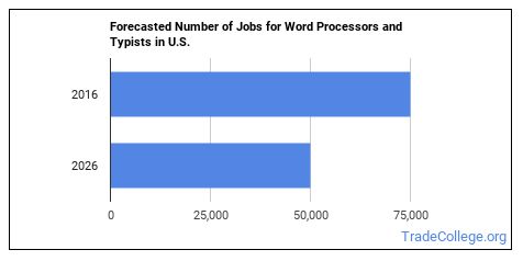 What Does a Word Processor or Typist do? - Trade College