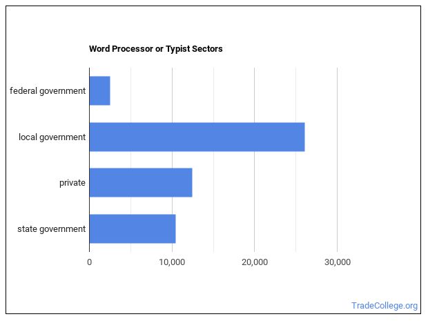 How to Become a Word Processor or Typist & What Do They Do? - Trade College
