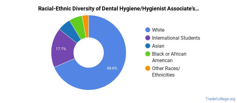 The Dental Hygiene Major at Camden County College - Trade College