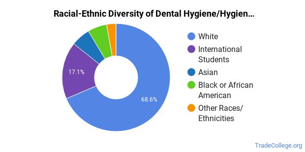 The Dental Hygiene Major at Camden County College - Trade College
