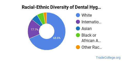 The Dental Hygiene Major at Camden County College - Trade College